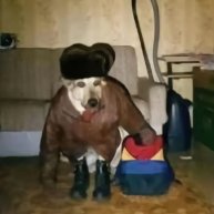 Иконка канала DAYKLIN ✅