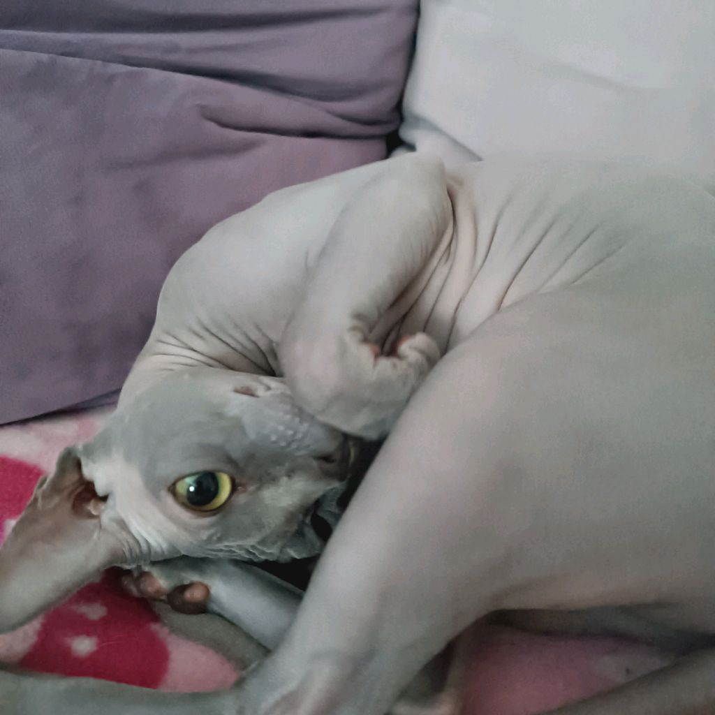 Иконка канала Ресси❗дай пять💝💘💖❣💕