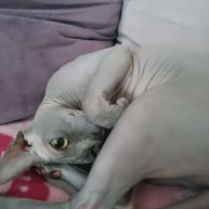 Иконка канала Ресси❗дай пять💝💘💖❣💕