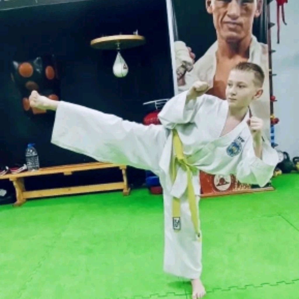 Иконка канала Тхэквондо для начинающих 🥋