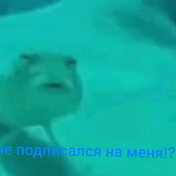 Иконка канала 🤍ПривидешкА🤍( Хз рк)