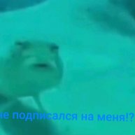 Иконка канала 🤍ПривидешкА🤍( Хз рк)