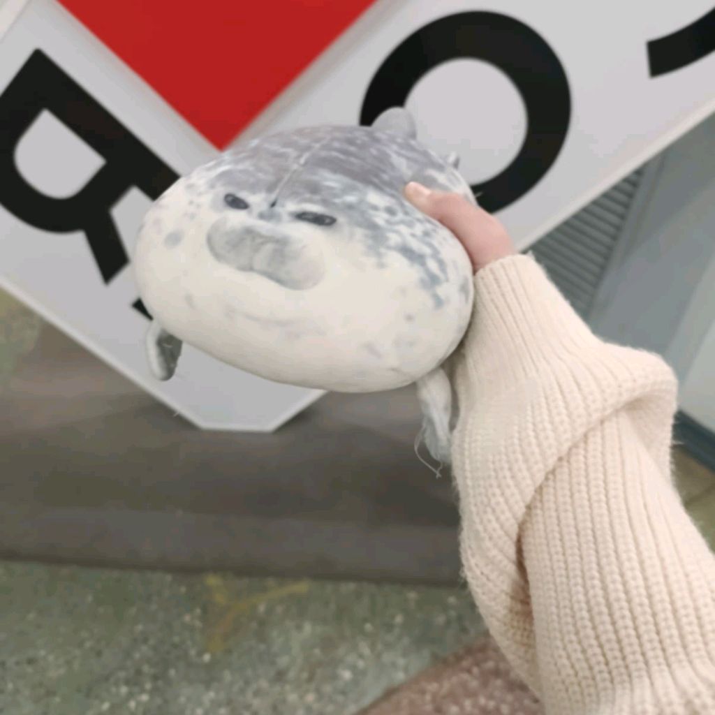 Иконка канала тюленьчики TV 🦭