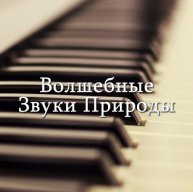 Иконка канала Волшебные Звуки Природы
