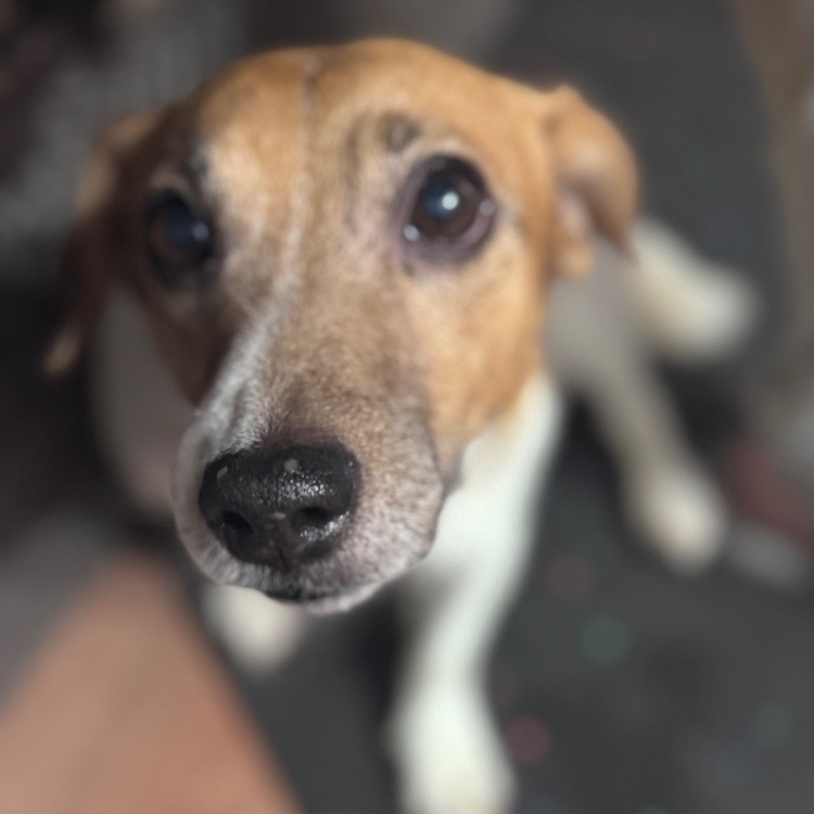 Иконка канала Ирина