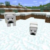 Иконка канала Лайт & Друг (официальный канал)