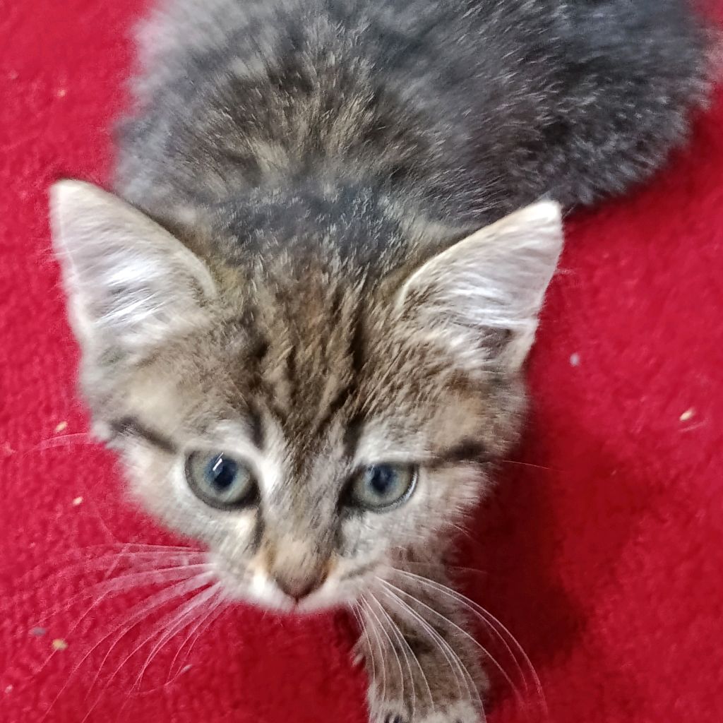 Иконка канала Разные видео (Amin 2)