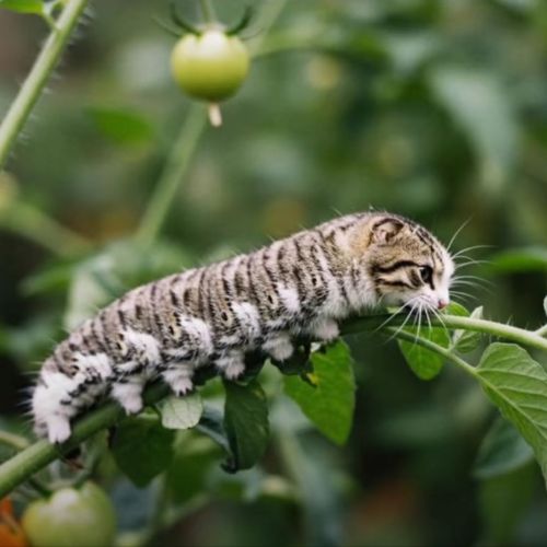 Иконка канала 𝐵𝒶𝓃𝒹𝒾𝓉🥷𝑅𝓊𝓉𝓊𝒷𝑒