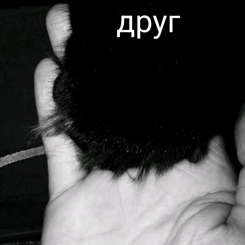 Иконка канала #зовитекультист