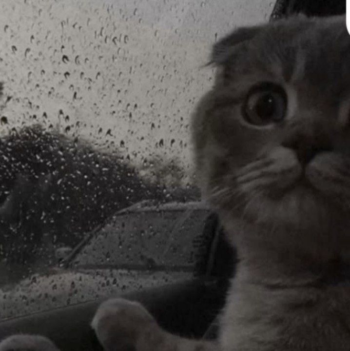 Иконка канала •/Ашk@/~