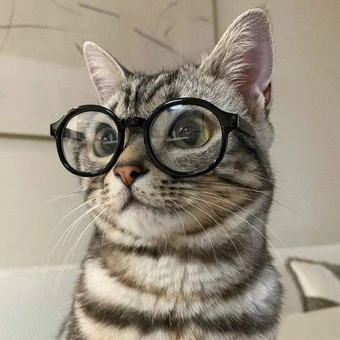 Иконка канала Кристи🍋‍🟩