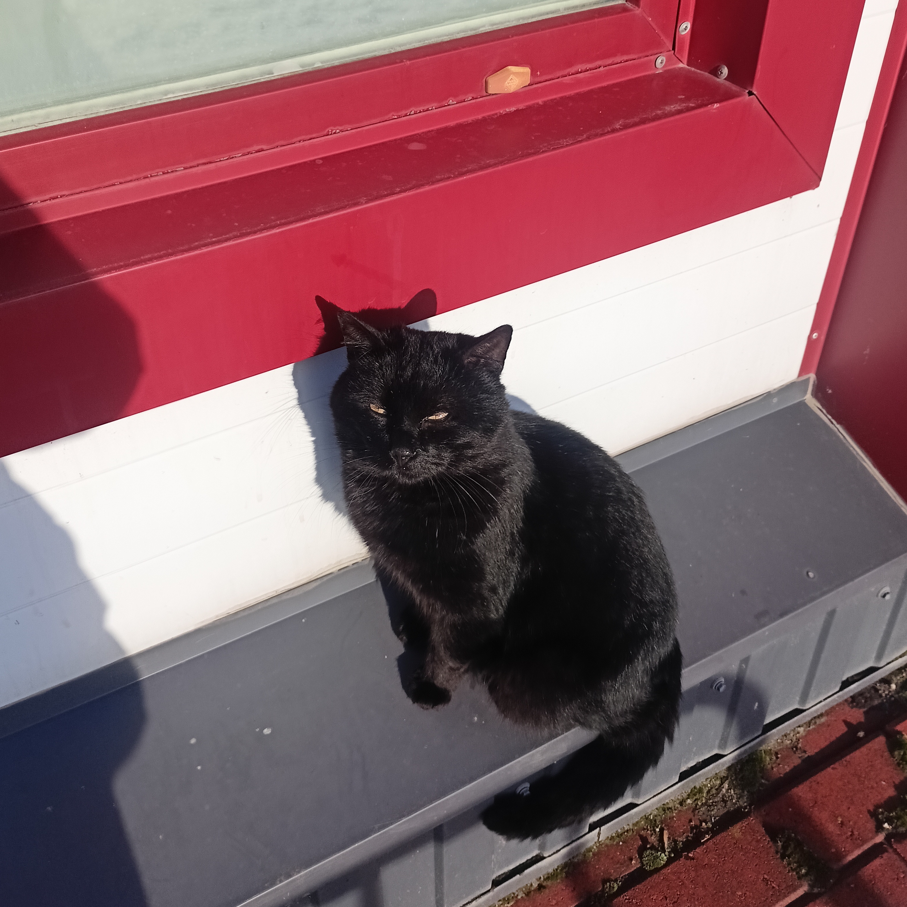 Иконка канала Лерчик✨