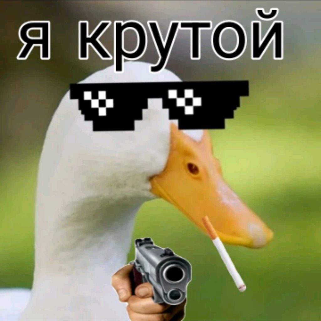 Иконка канала Kit