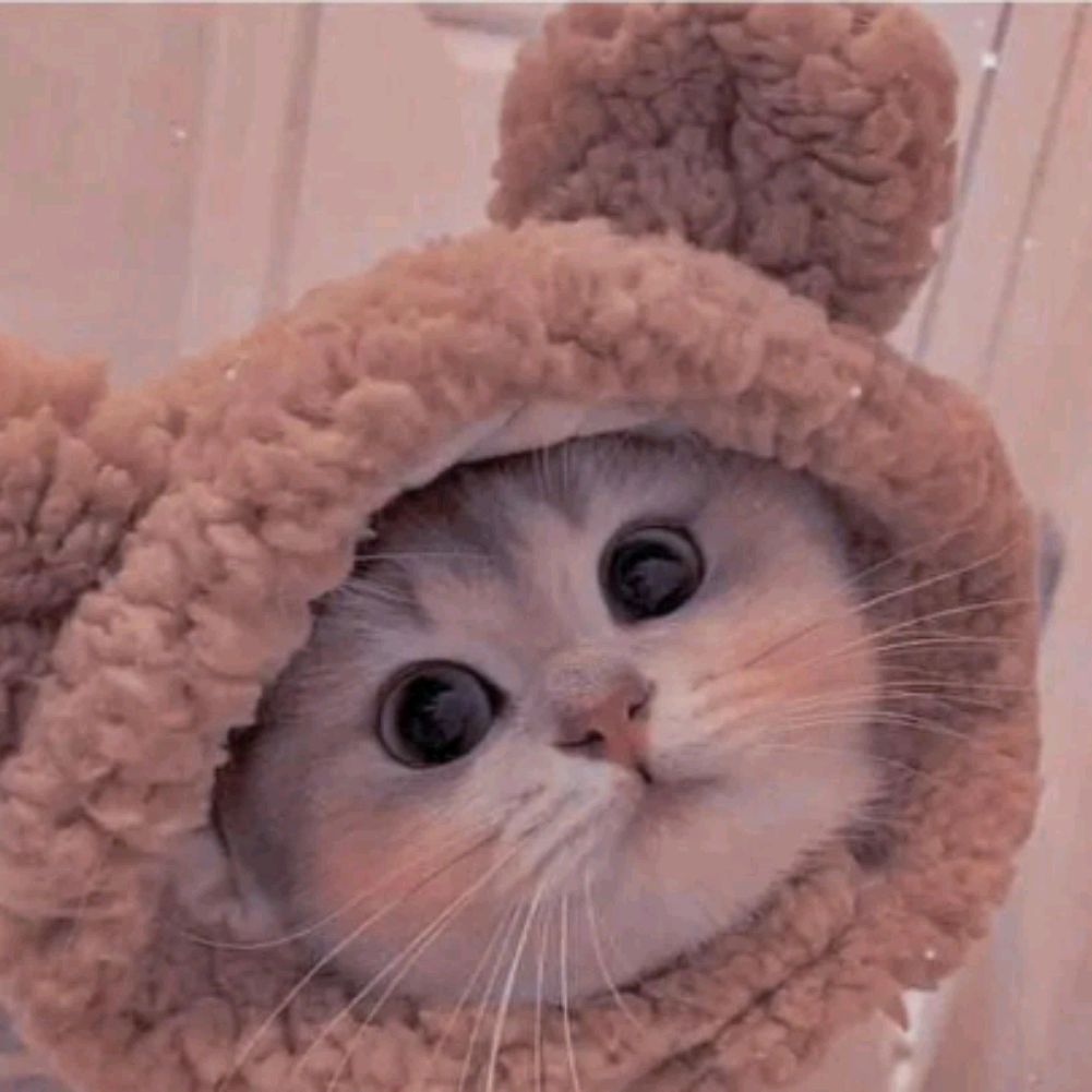 Иконка канала channel74620588