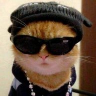 Иконка канала CoolCatLMX