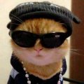 Иконка канала CoolCatLMX