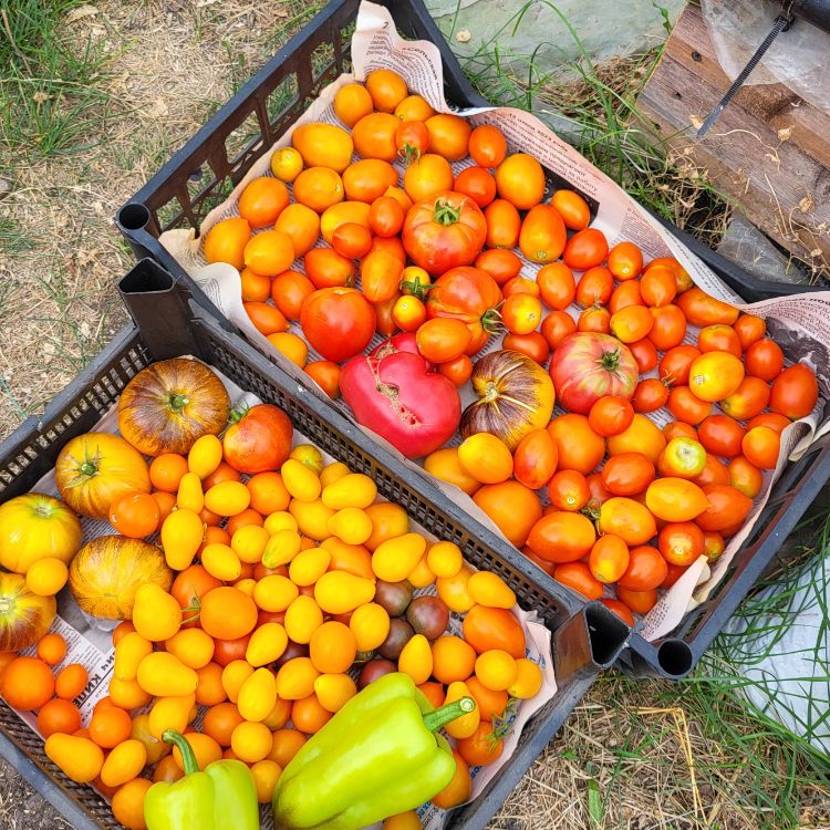 Иконка канала Зуйские будни