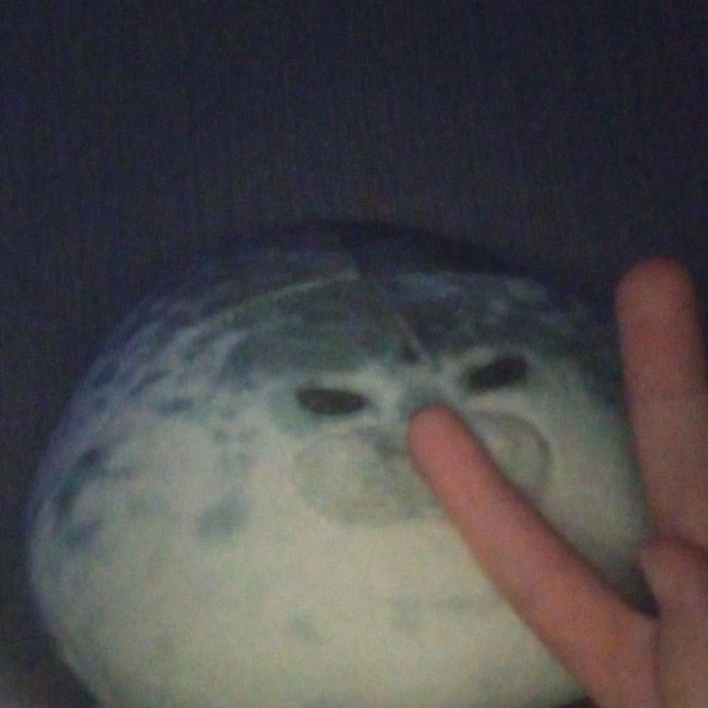 Иконка канала my child Aurora ~