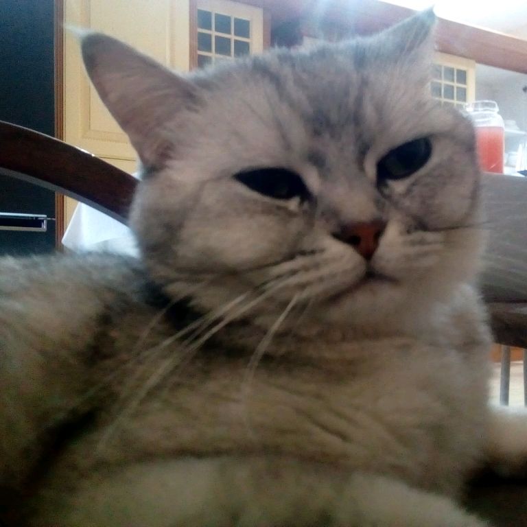 Иконка канала Полина И Лиза