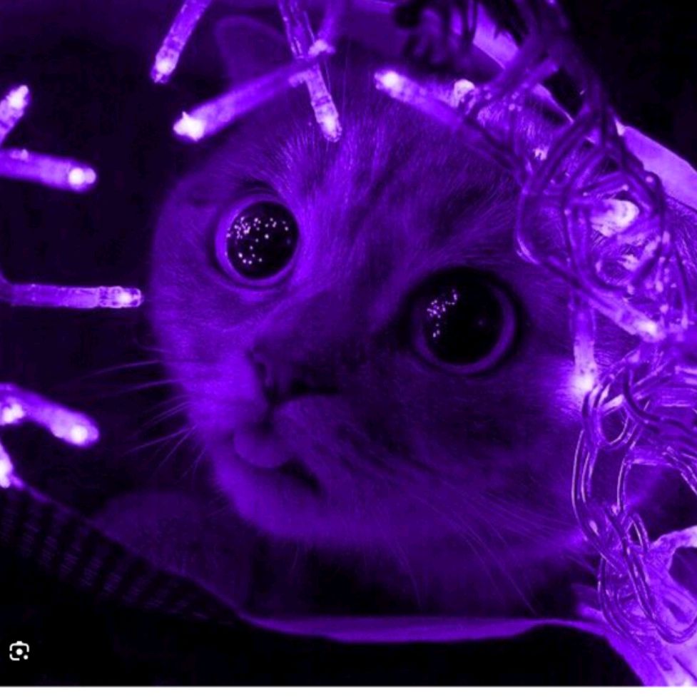 Иконка канала 💖Маша 🌸