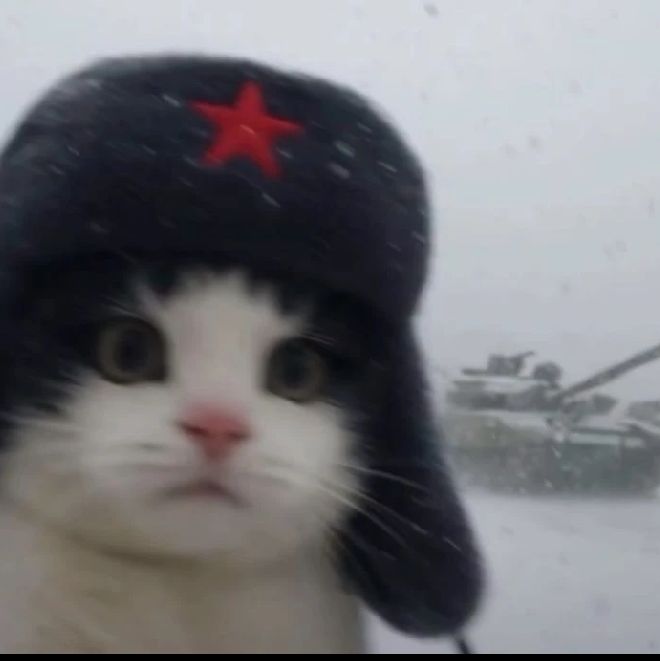 Иконка канала ʷᵉˡᶜᵒᵐᵉ ᵗᵒGlomyHoney⋆