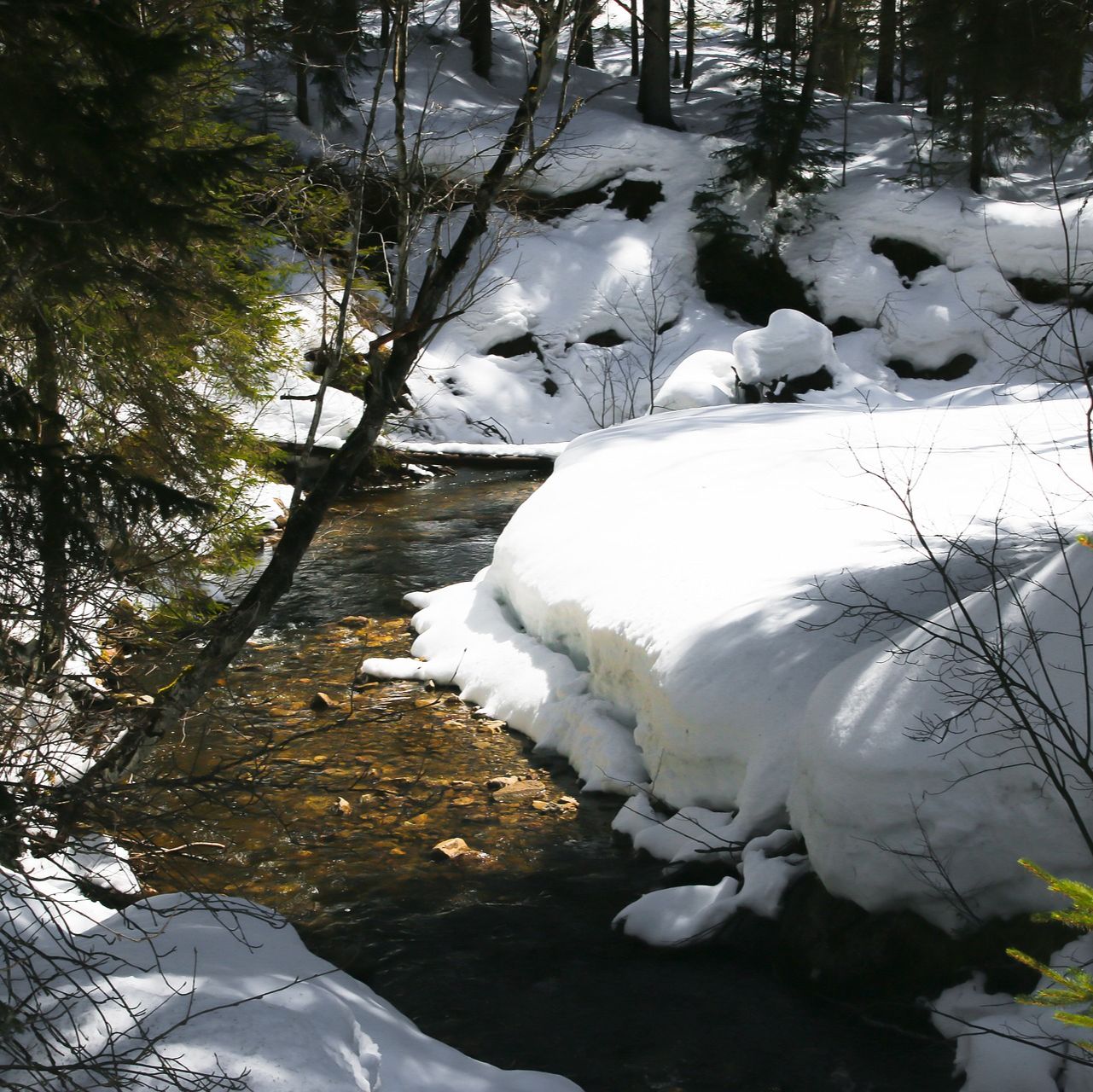 Иконка канала Фин