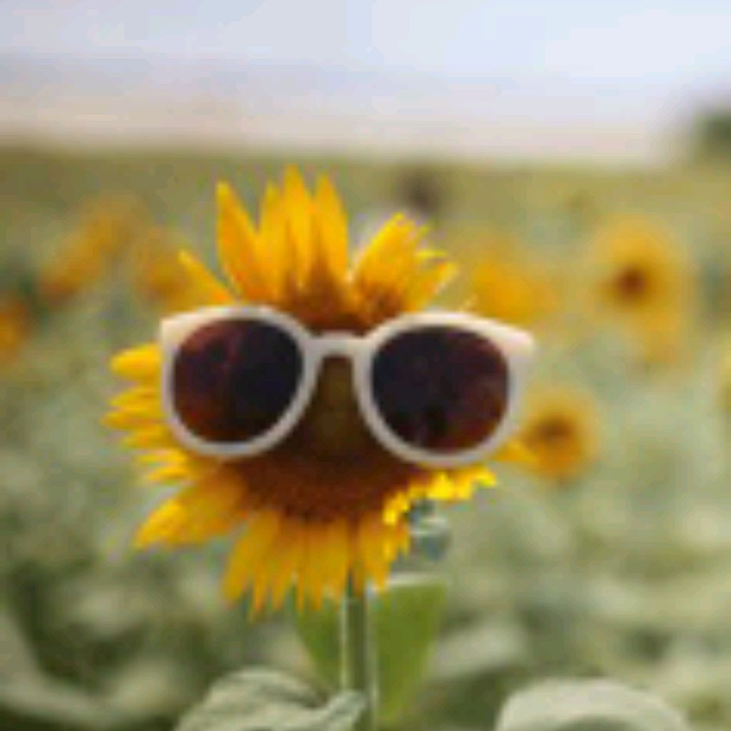 Иконка канала П̤̮р̤̮и̤̮к̤̮о̤̮л̤̮ь̤̮н̤̮ы̤̮е̤̮ В̤̮и̤̮д̤̮е̤̮о̤̮