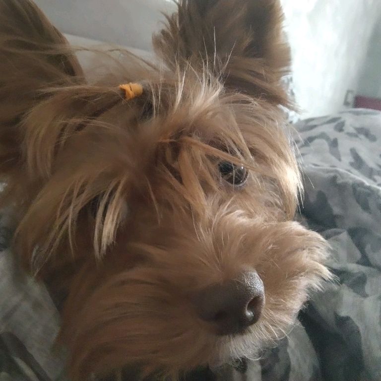 Иконка канала COTOFEY chik