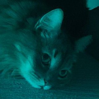 Иконка канала просто Вика)