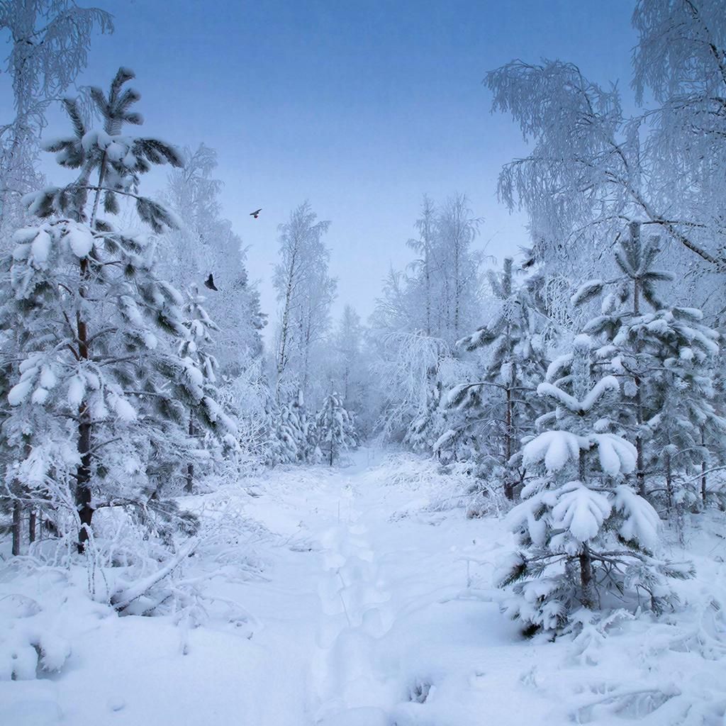 Иконка канала Стихи семейного клана