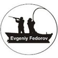 Иконка канала Evgeniy Fedorov