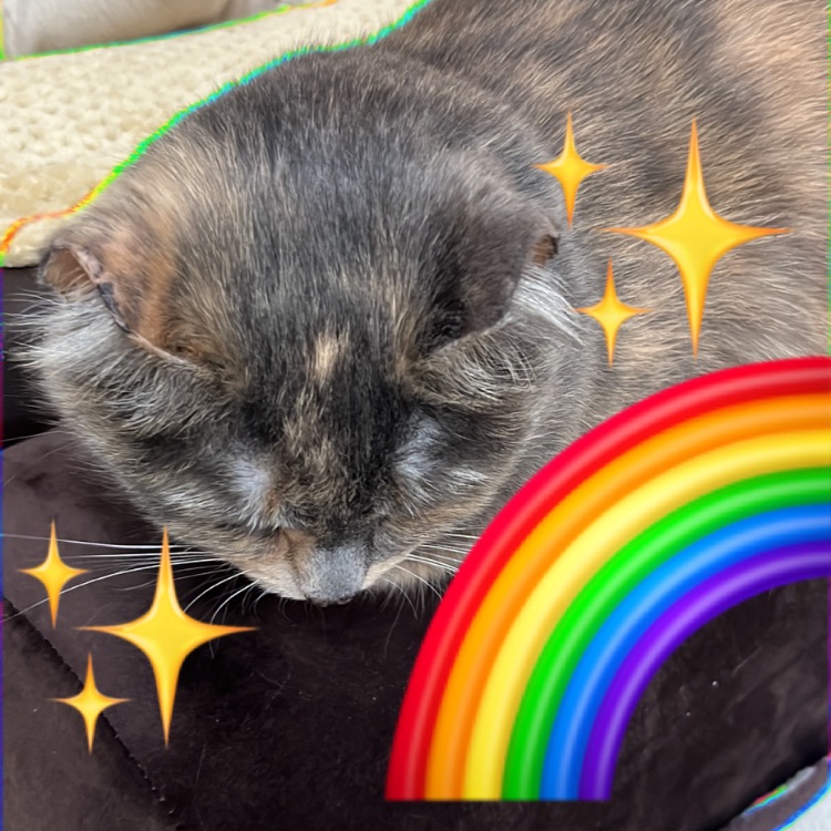 Иконка канала 🧀MeOw🧀