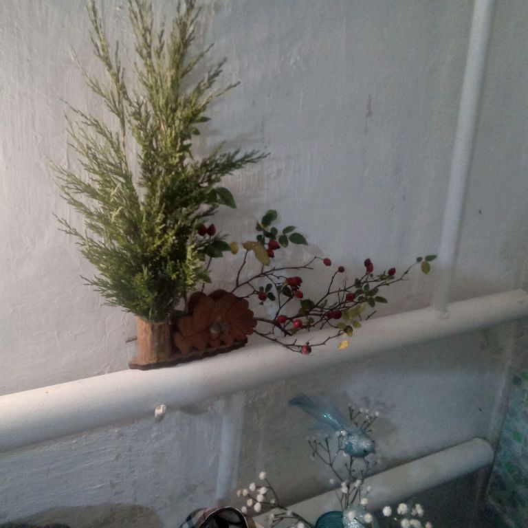 Иконка канала Дневная Красавица