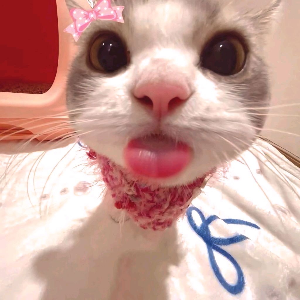 Иконка канала sKym0-0n