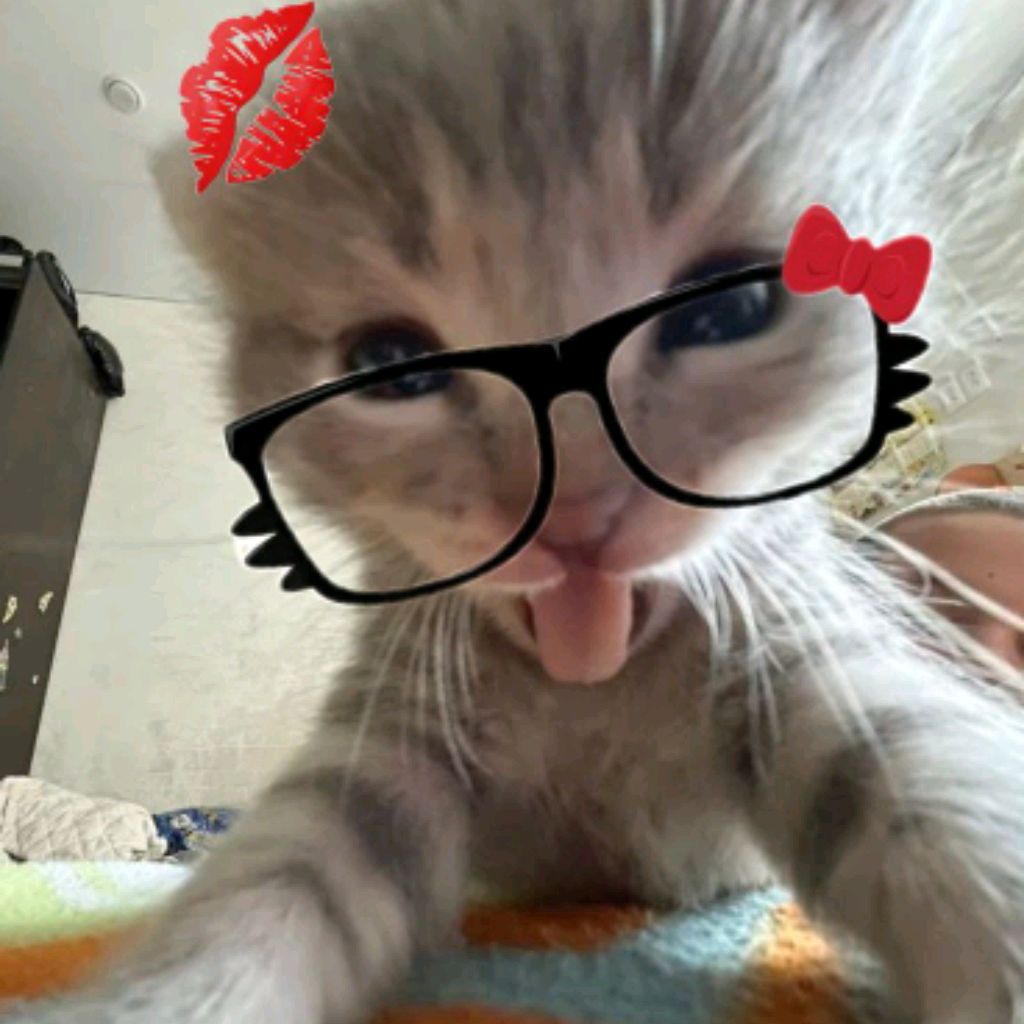 Иконка канала Поля black🖤💤