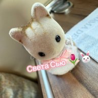 Иконка канала Света Сью 🌷🐰