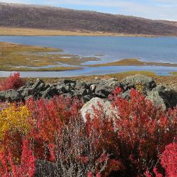 Иконка канала Василий М-Нива