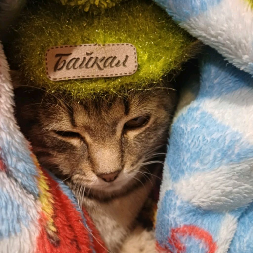 Иконка канала Vika