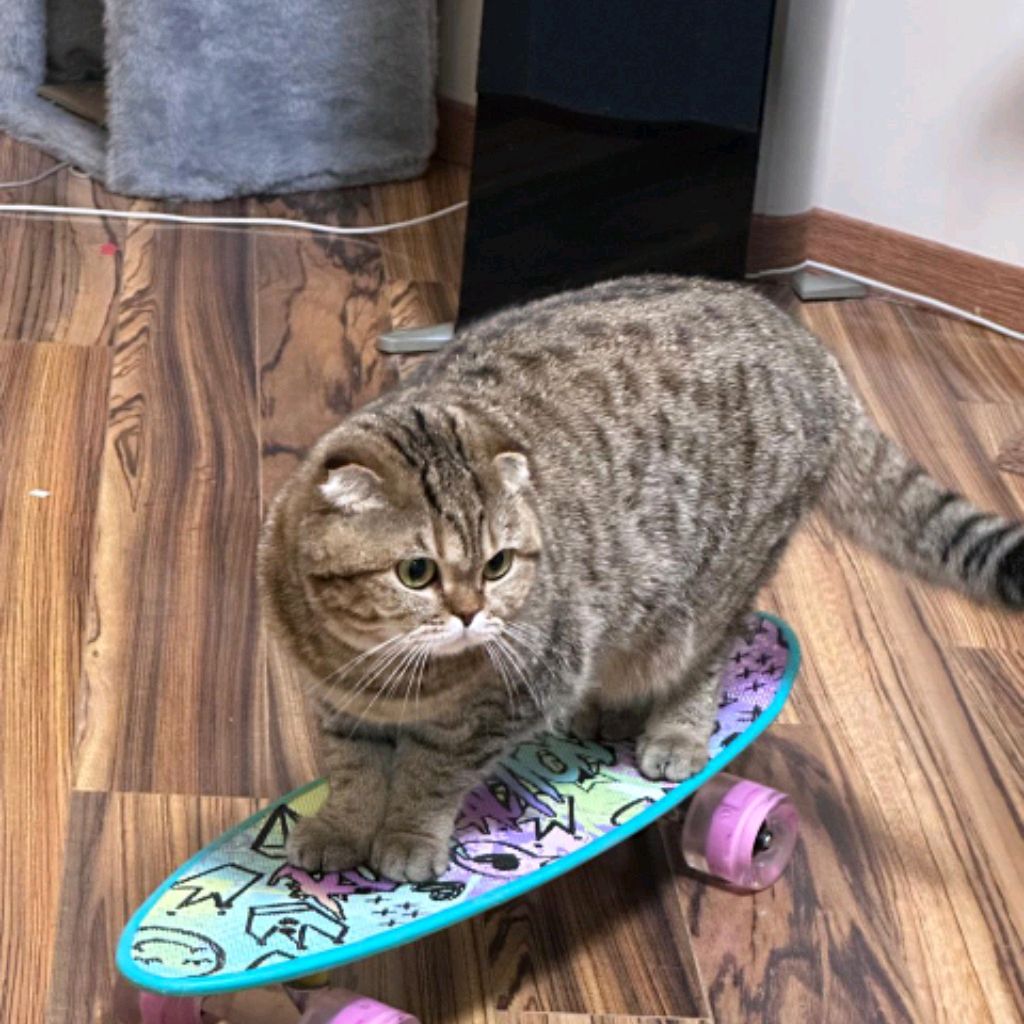 Иконка канала Arina Iime 🍋🟩