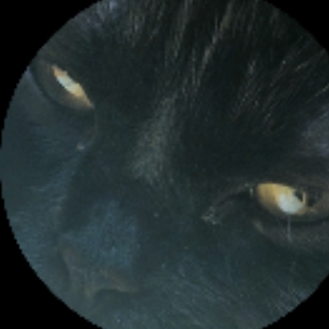 Иконка канала channel74747964