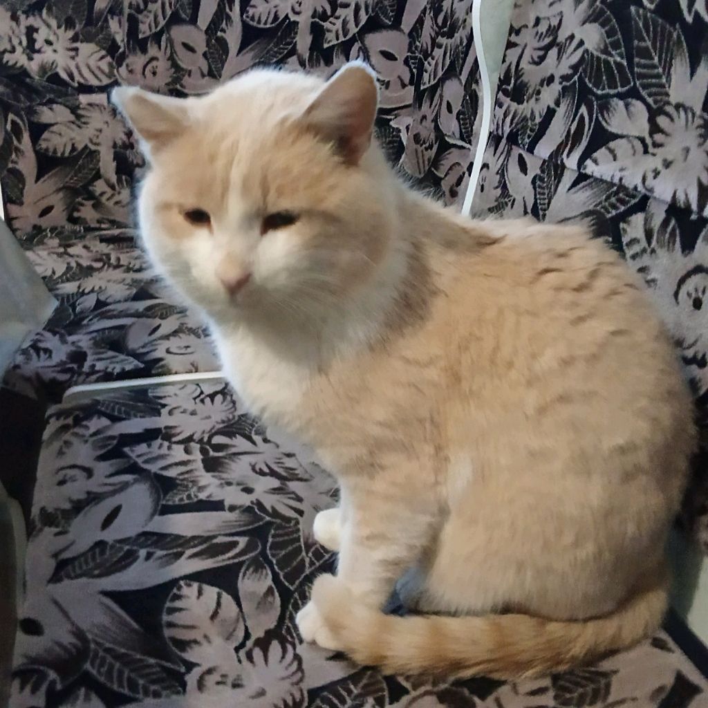 Иконка канала Daniil Strimer/@18