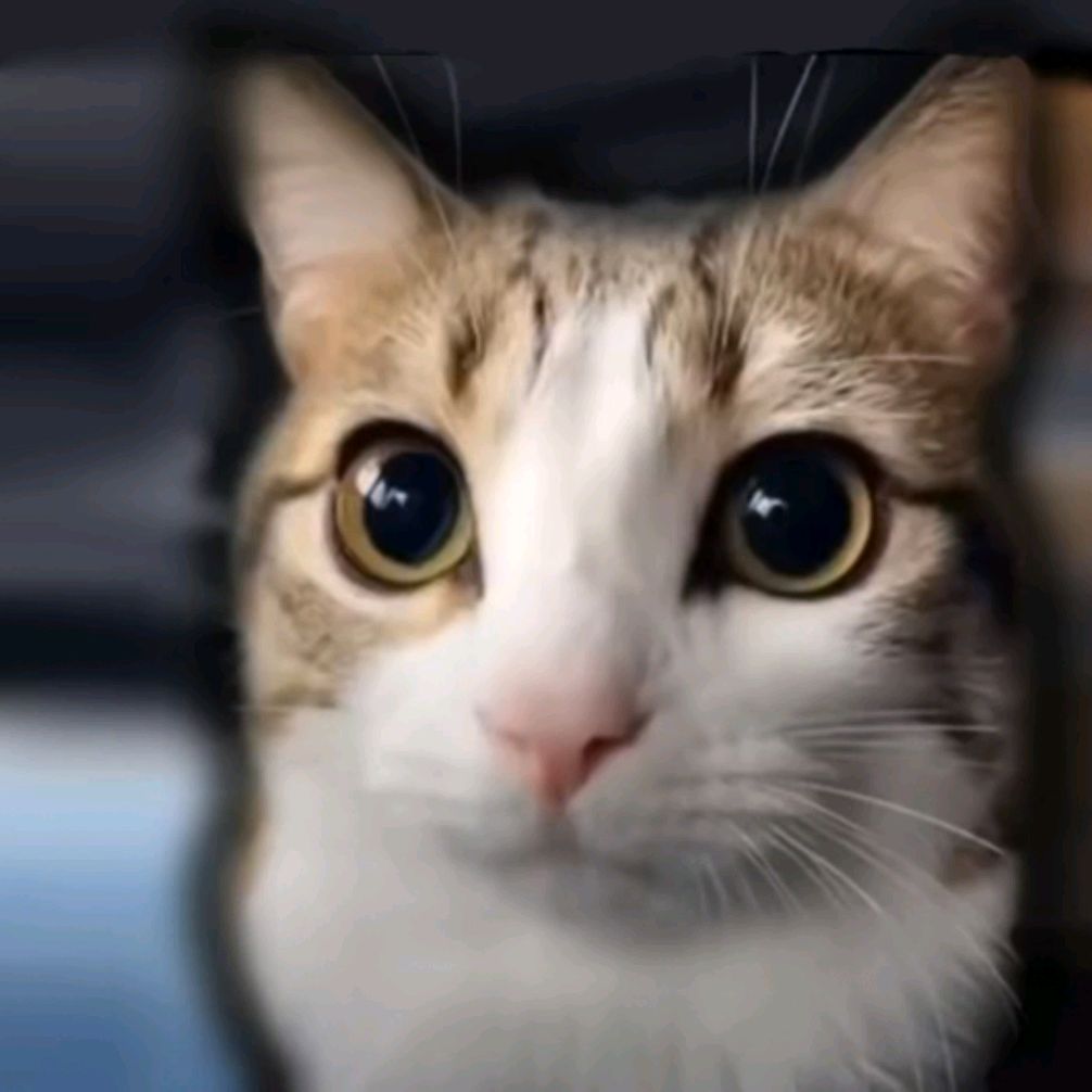 Иконка канала 𝑆𝑎𝑛𝑠 (😾🟢❌)