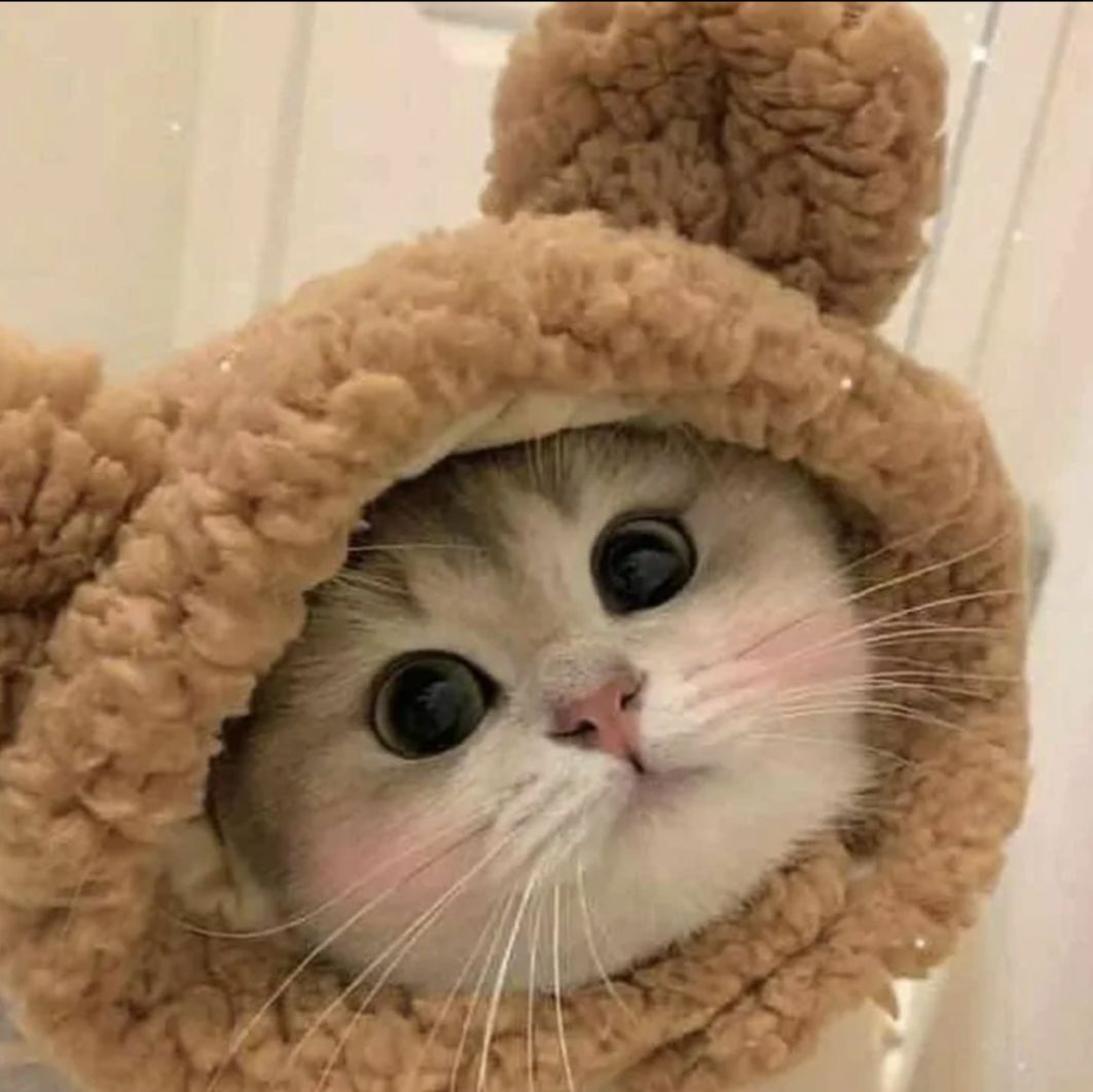 Иконка канала tt:Brat1shka