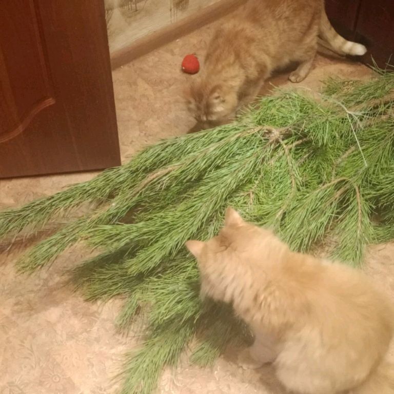 Иконка канала channel407094 Пг 💌﹥~﹤