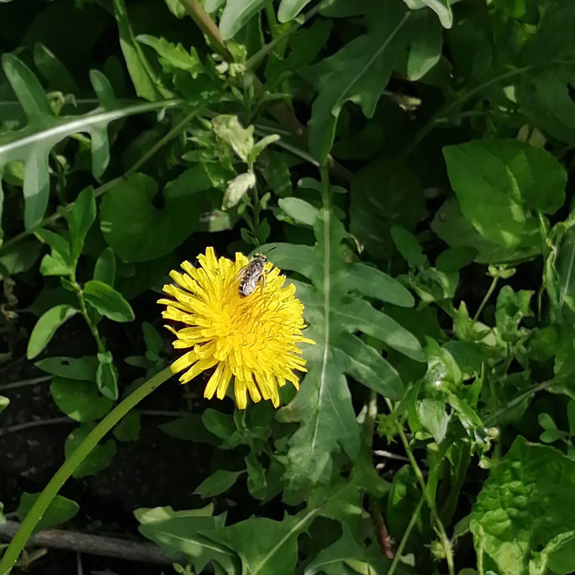 Иконка канала Жизнь прекрасна.