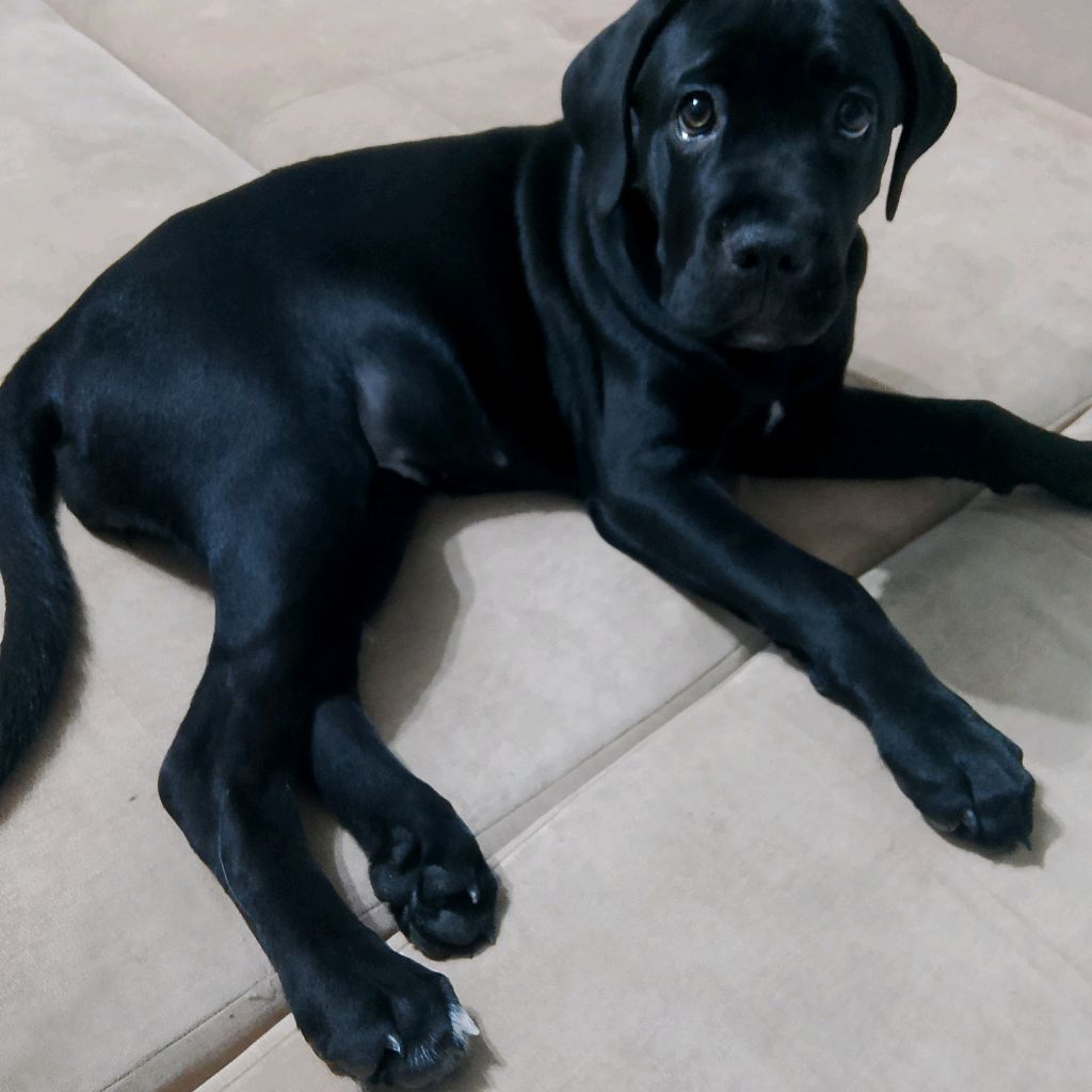 Иконка канала Kris_26