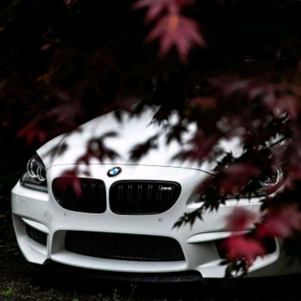 Иконка канала Ястреб