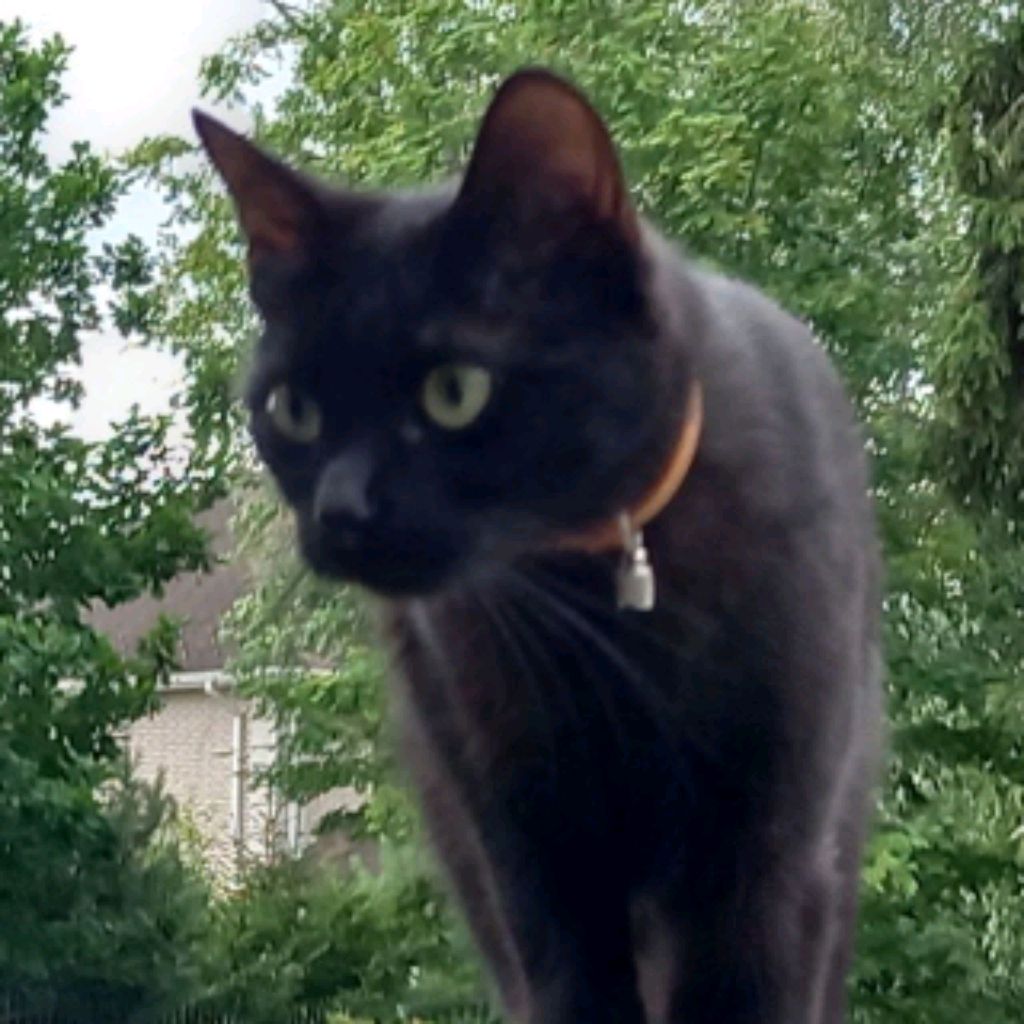 Иконка канала Desdihado