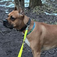 Иконка канала kohena