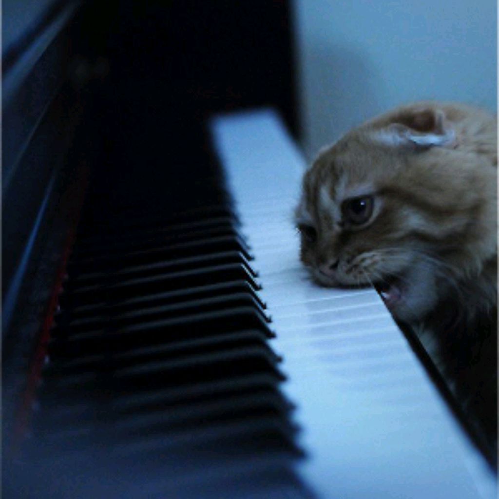 Иконка канала Irinapiano